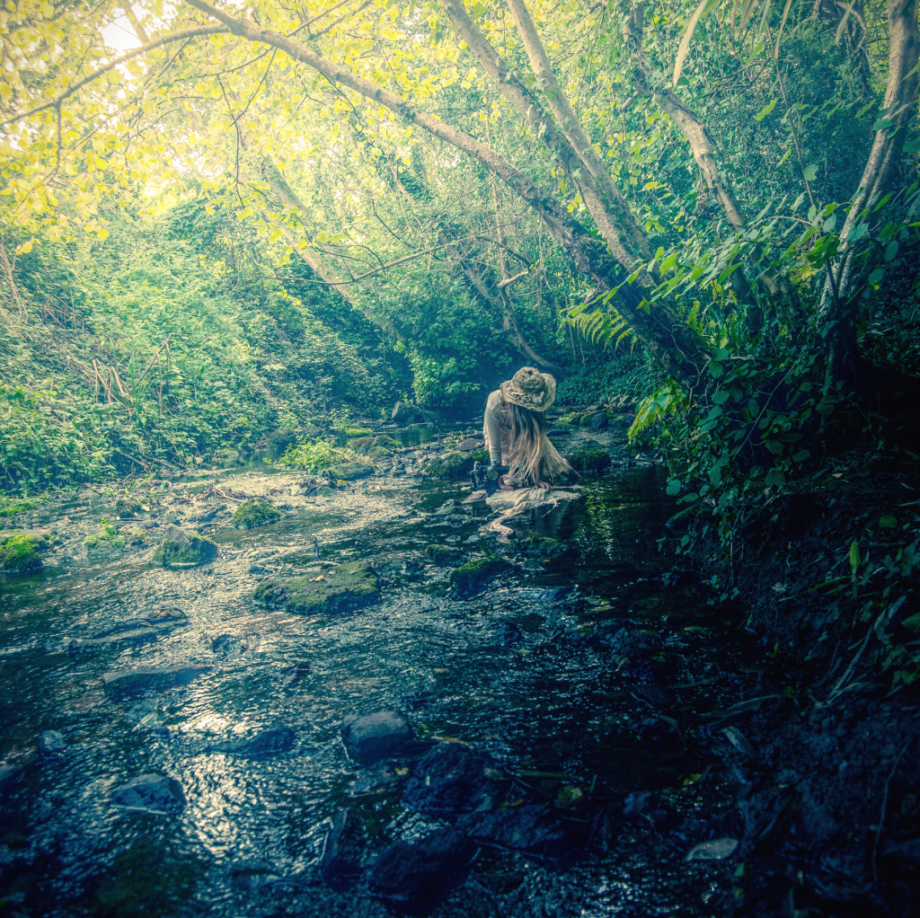 katiejane garside – liar, flower rubythroat lalleshwari queenadreena ...